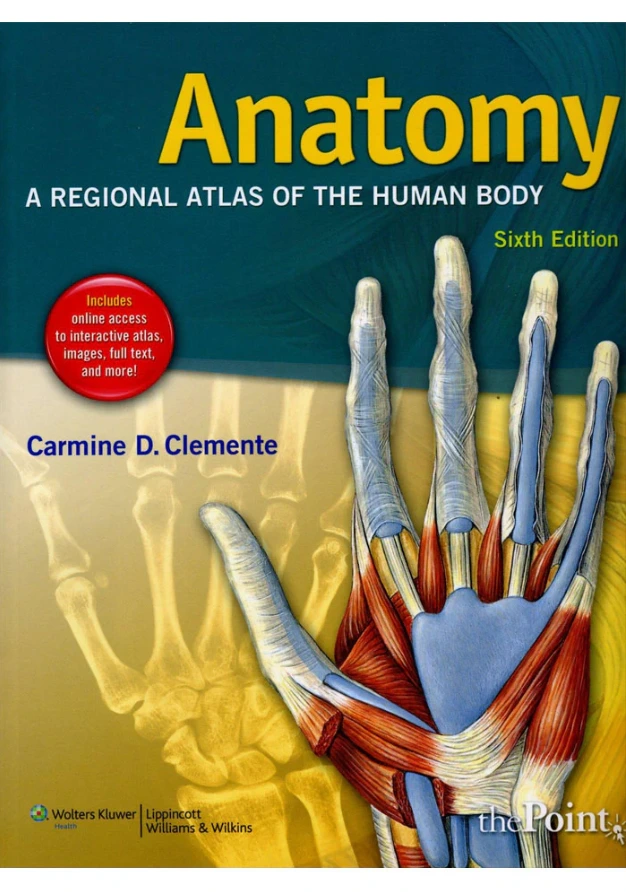Clemente Anatomy A Regional Atlas of the Human Body 6th Edition by ...